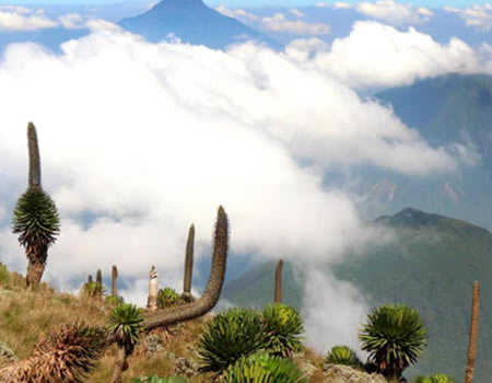 Hiking Safaris | Safaris in Uganda